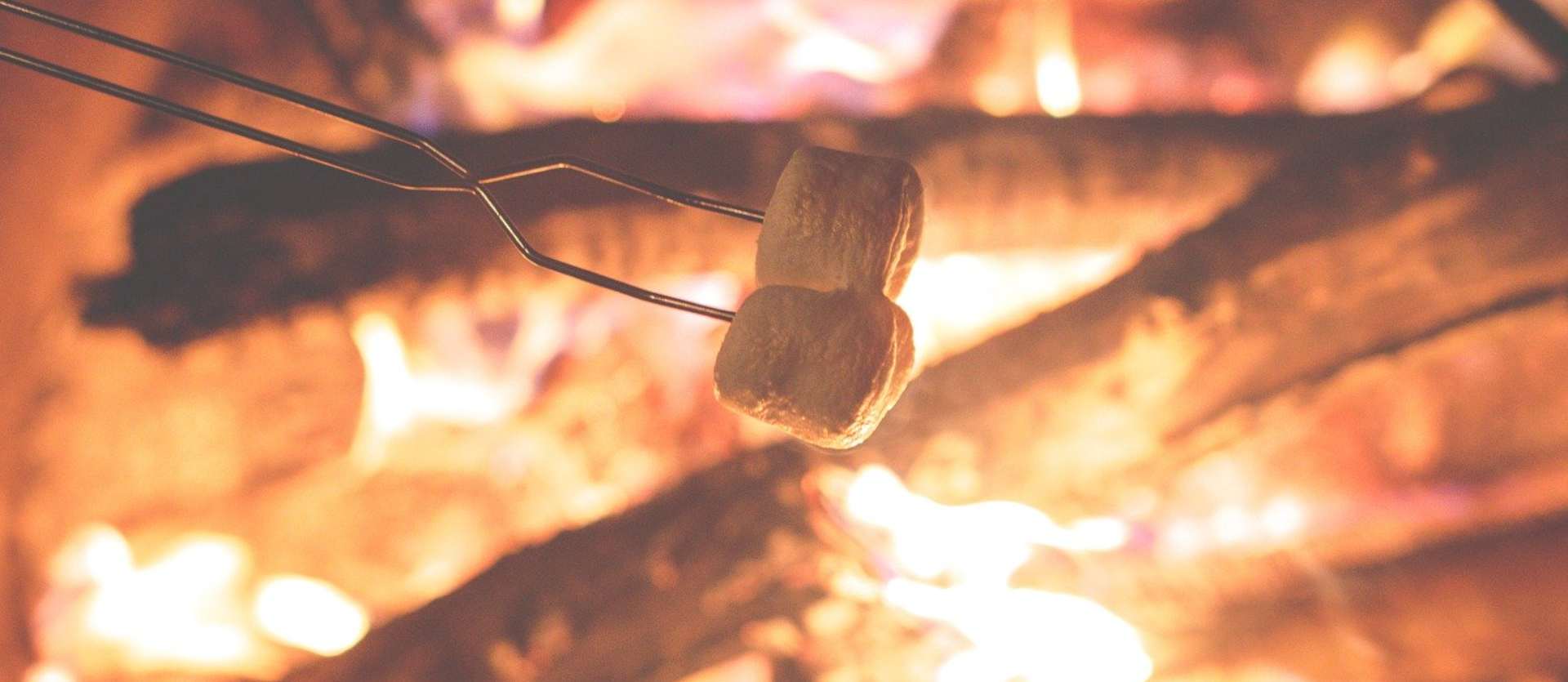 Campground Safety Tips and What to Do If You’re Injured - VanDerGinst Law